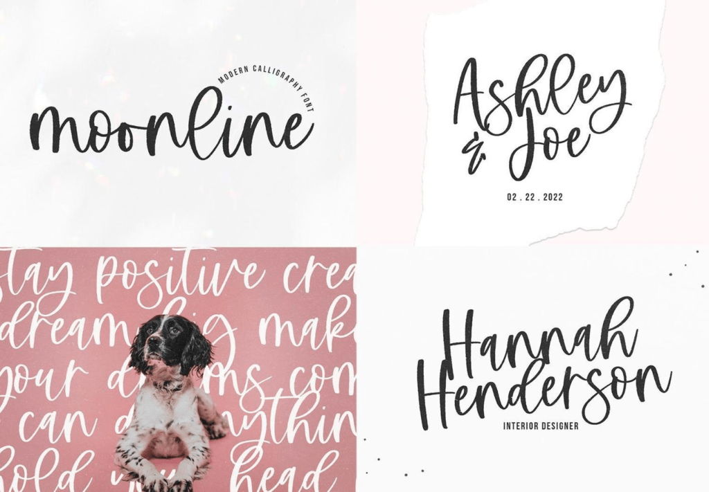 Modern Script Fonts Bundle – Nls doodles